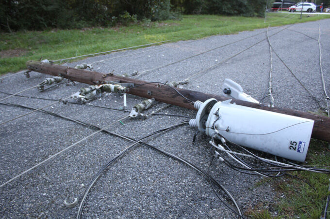 Tree falls on power line knocking out power on south side of town ...