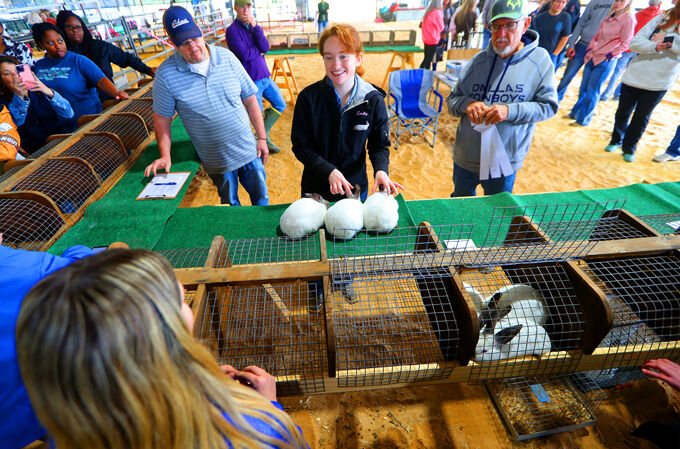 Jasper County Junior Livestock Show | Local News | kjas.com