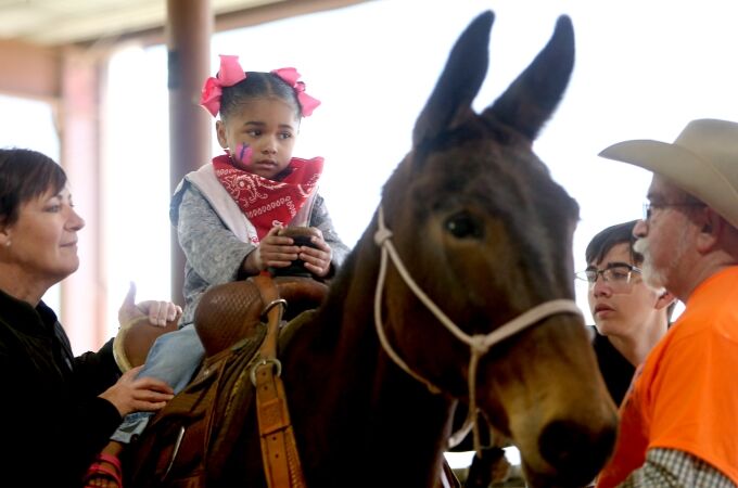 Record breaker for Handicapable Rodeo, children came from as far away ...