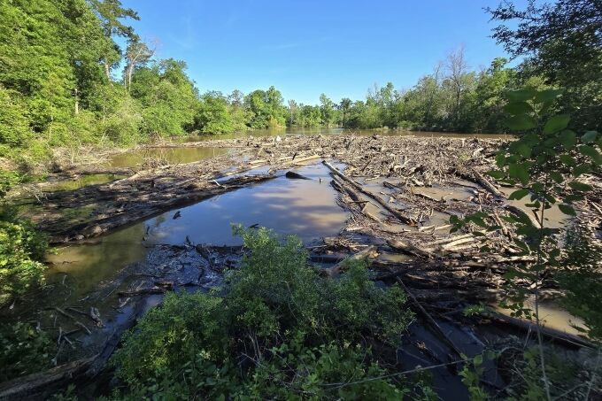 Rush of flood water caused a log jam on the Sabine River at Deweyville ...