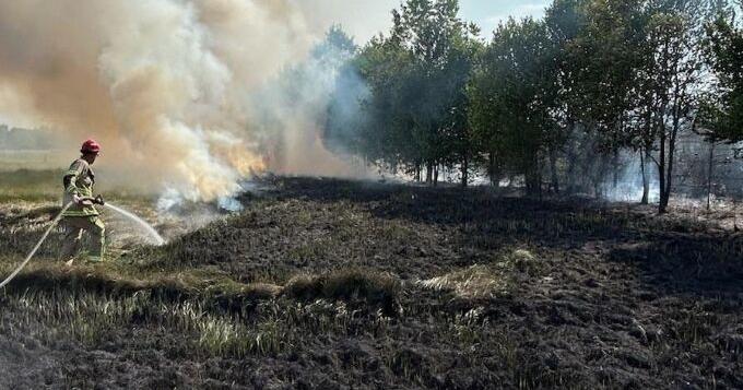 Beech Grove firefighters handled a wildfire | Local News | kjas.com