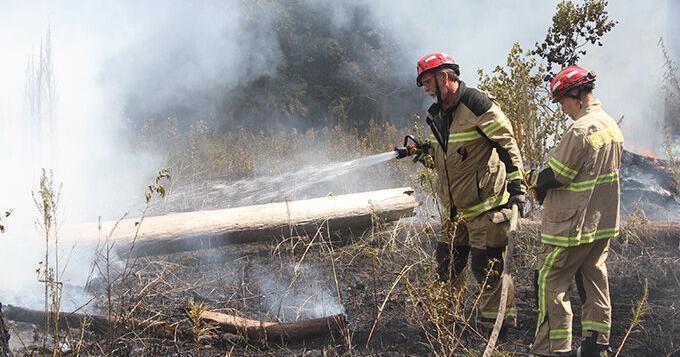 Tree falls on power line sparking fire behind The Event Center | Local ...