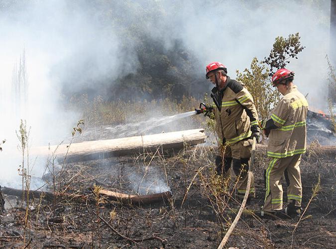 Tree falls on power line sparking fire behind The Event Center | Local ...