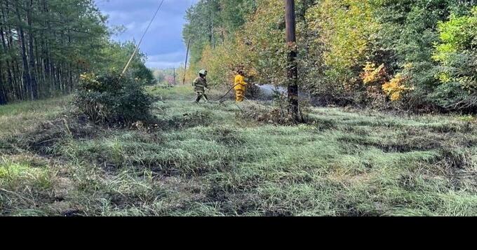 Tree fell on power lines causing a small brush fire | Local News | kjas.com