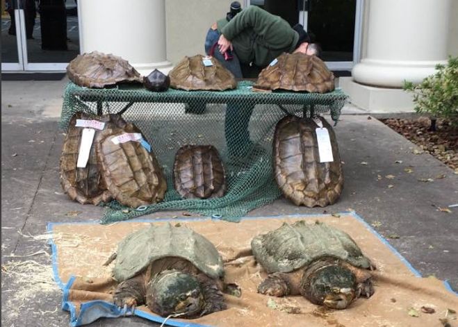 Louisiana brothers sentenced to federal prison for trafficking ...