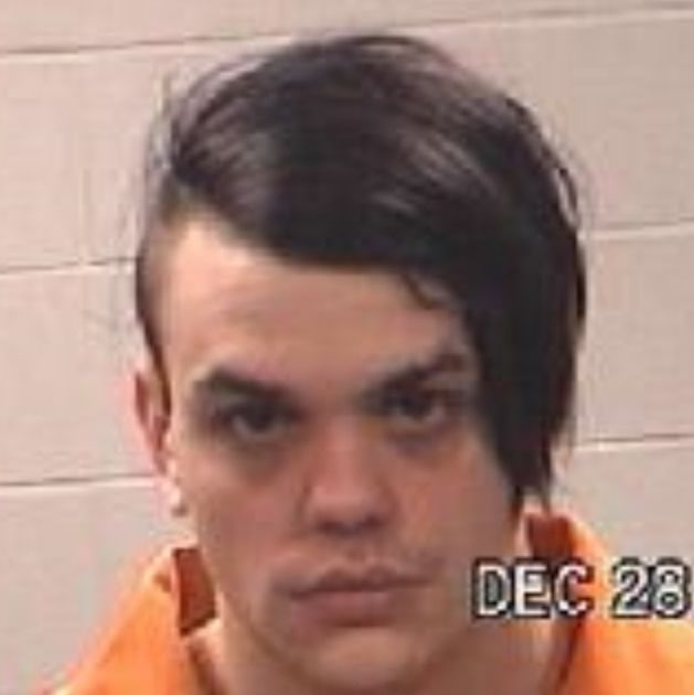 Livingston Police make arrest in bizarre arson and criminal mischief ...