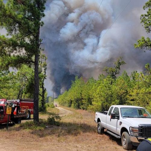 SHEARWOOD CREEK FIRE NEAR EBENEZER COMMUNITY WEST OF JASPER 50% ...