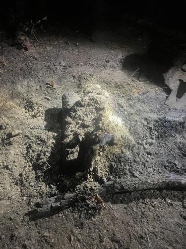 Fire at Mark Twain National Forest is 5% contained but has already ...