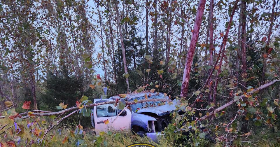 Rolla man seriously injured when his truck runs into tree | Newsroom ...