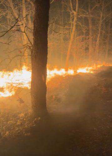 Natural cover fire burns almost 80 acres in Edwards | Newsroom ...