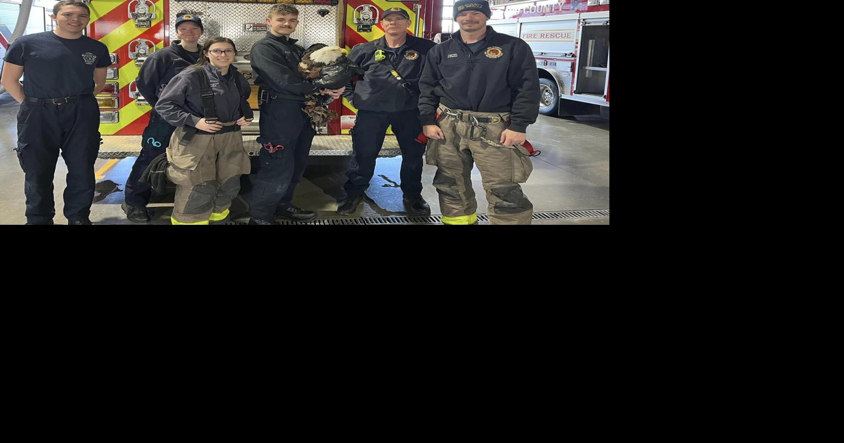 Observant Camden County first responders rescue bald eagle | Newsroom ...