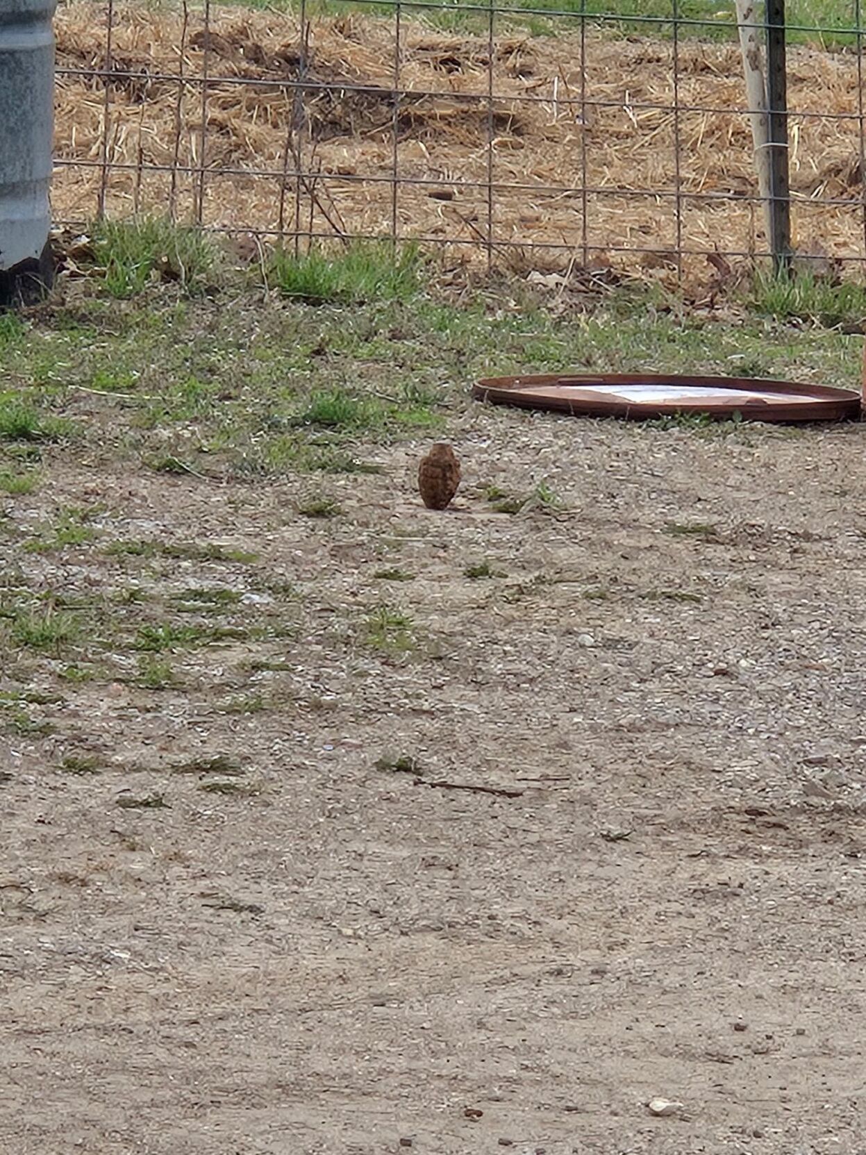Fort Leonard Wood explosive disposal unit confirms grenade found near ...