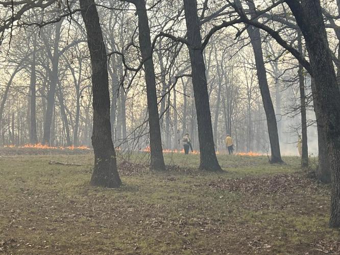 Lake-area firefighters battle 300-acre natural cover fire | Newsroom ...