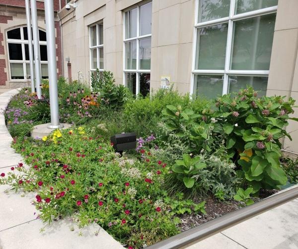 Three mid-Missouri "Gardens of Excellence" showcase benefits of native ...