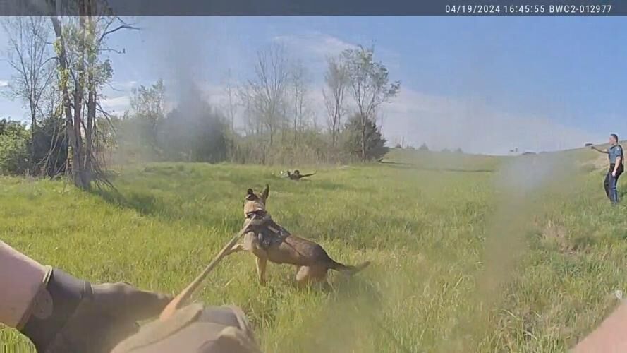 UPDATED: Columbia woman sentenced for attempting to outrun Callaway ...