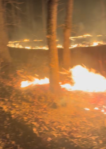 Natural cover fire burns almost 80 acres in Edwards | Newsroom ...