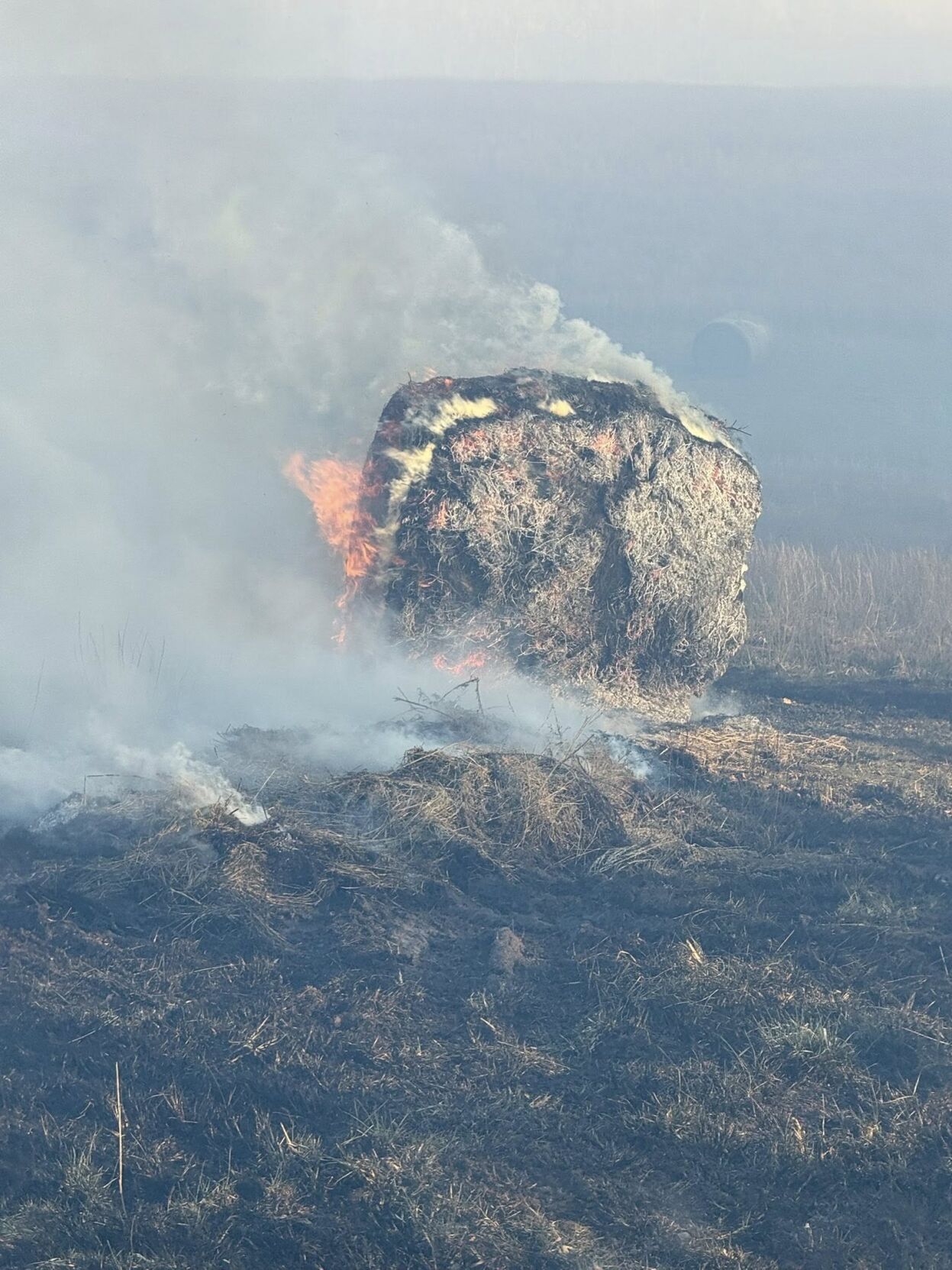 Large natural cover fire southeast of Warsaw destroys 250 acres ...