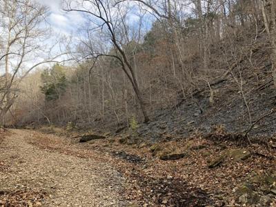 Natural cover fire south of Fulton burns 150 acres | Newsroom ...