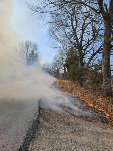 Mark Twain National Forest employees assist with 400 fires across ...