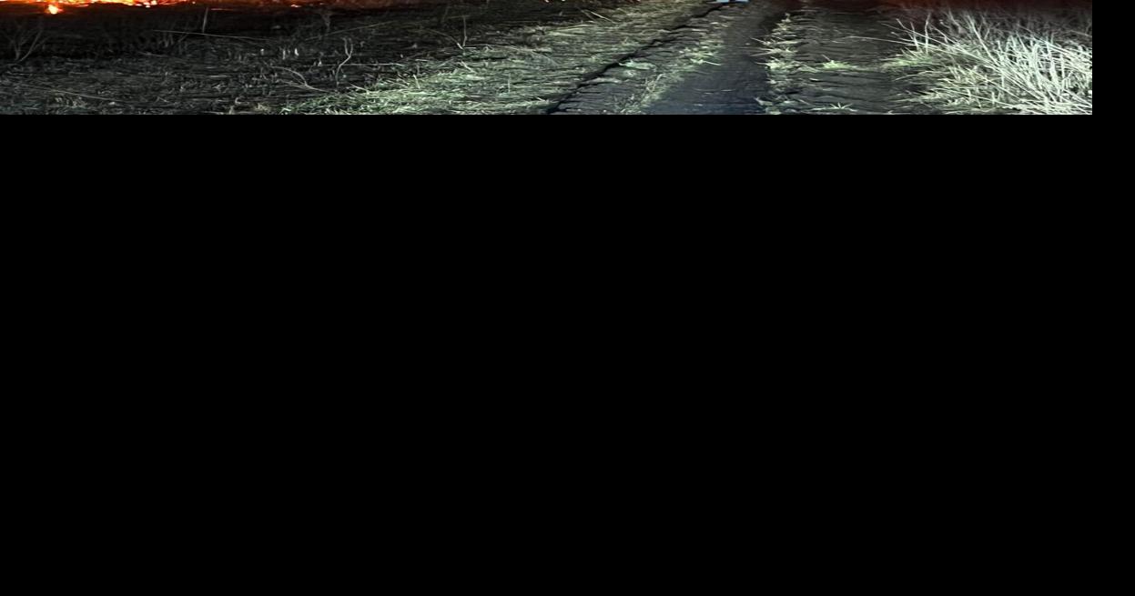 Nearly 500 acres burned in natural cover fire in Camden County ...