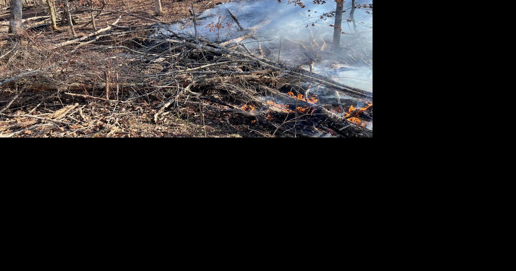 Natural cover fire burns through 500 acres in Callaway County ...
