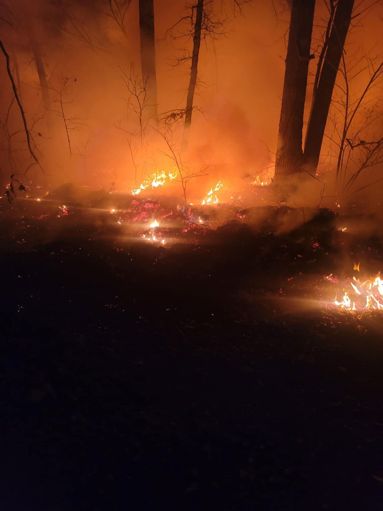 Firefighters across mid-Missouri battle natural cover fires, more, over ...