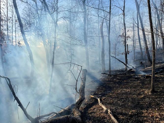 Natural cover fire burns through 500 acres in Callaway County ...