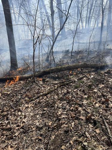 Firefighters across mid-Missouri battle grass and structure fires ...