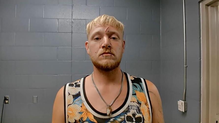 Colorado woman pleads guilty to charges in Cooper County after she's ...