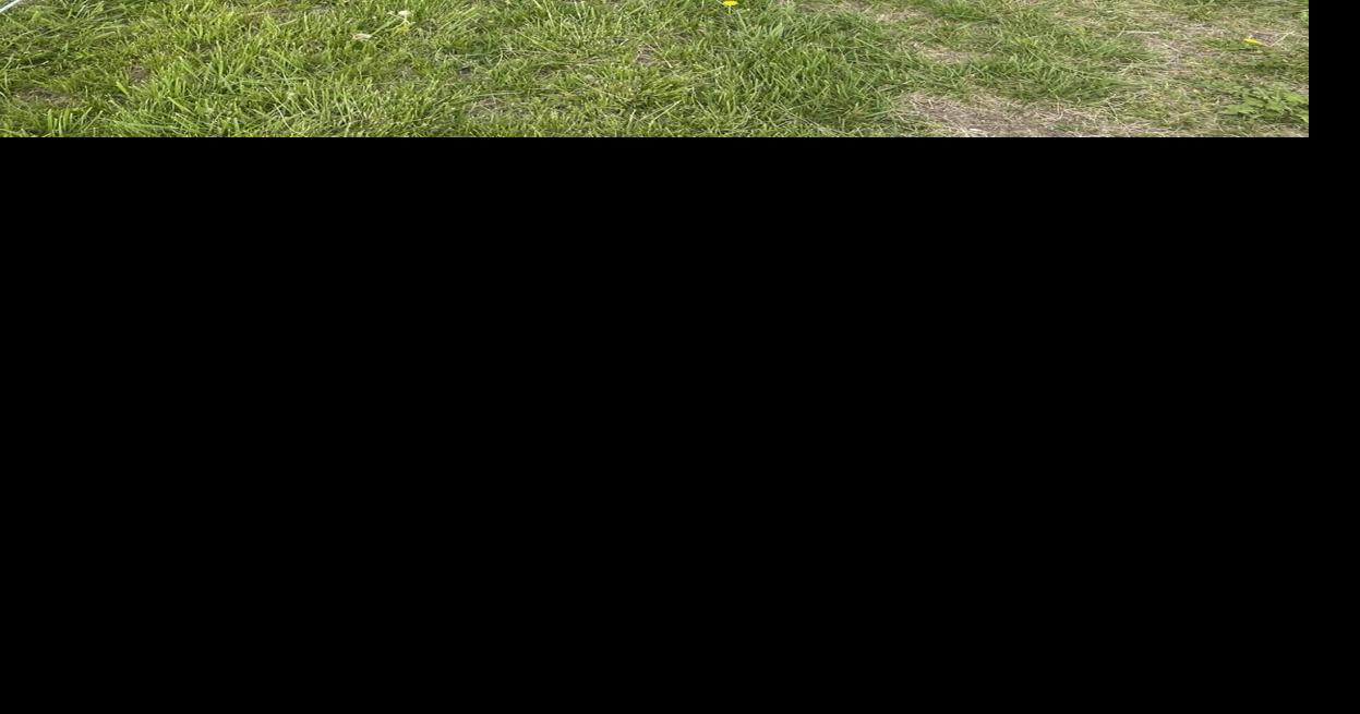 UPDATED: Pettis County authorities help with search after suspect in ...