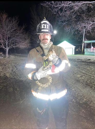 Miller County firefighters save multiple snakes from house fire ...