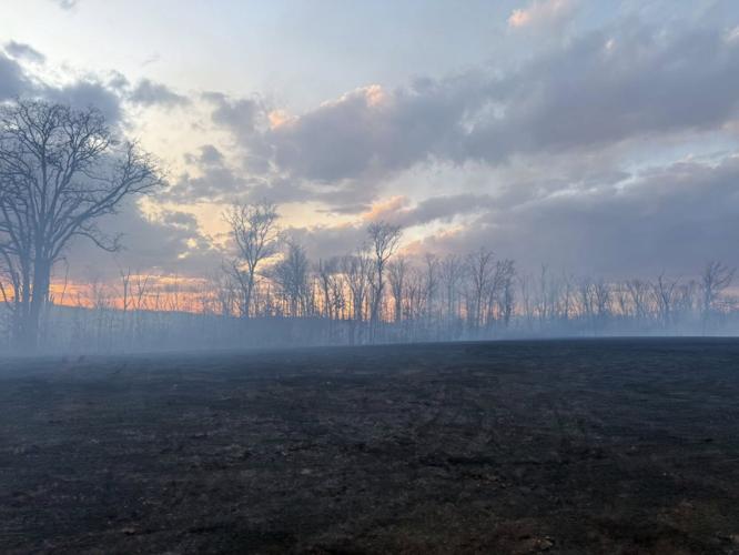 Large natural cover fire southeast of Warsaw destroys 250 acres ...