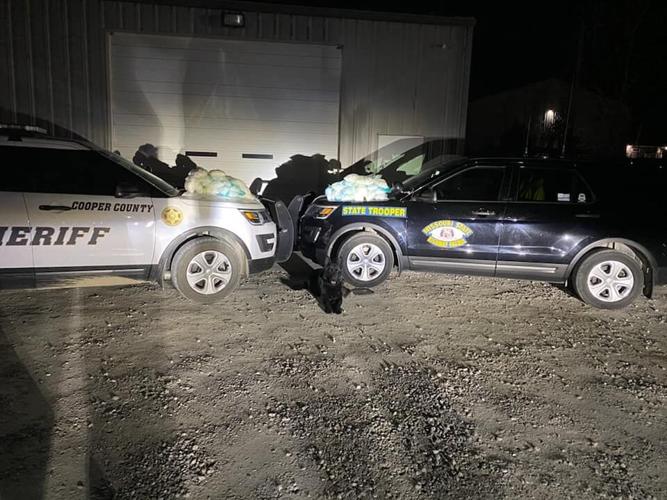 Cooper County Sheriff's K-9 uncovers $1 million worth of meth ...