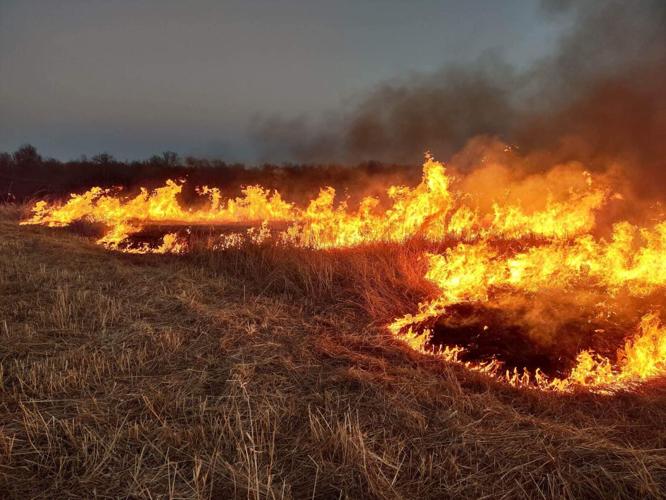 700 acres go up in smoke during Callaway County natural cover fire ...