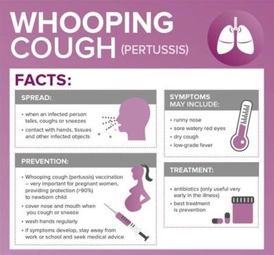 With whooping cough cases on the rise, local physician discusses best ...