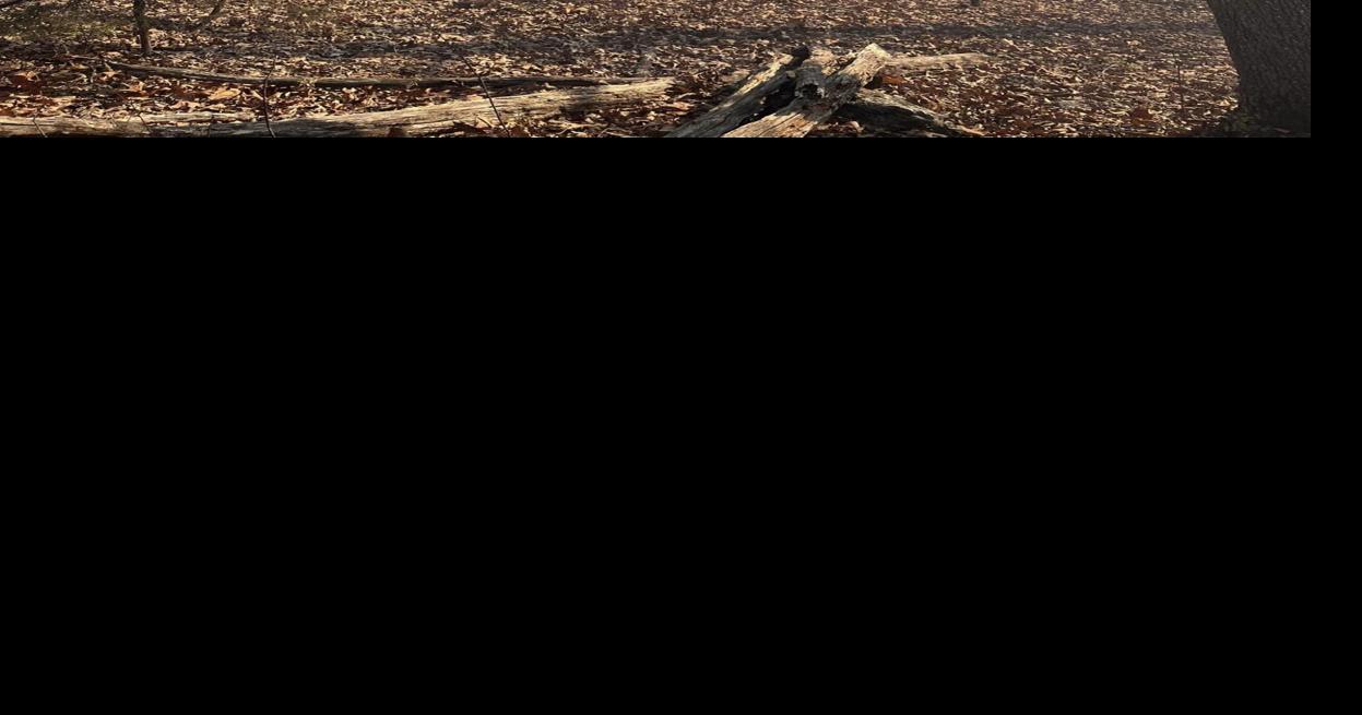 Natural cover fire creates smokey conditions at the Lake of the Ozarks ...