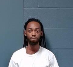 UPDATED: Domestic violence incident leads to discovery of more than 500 ...