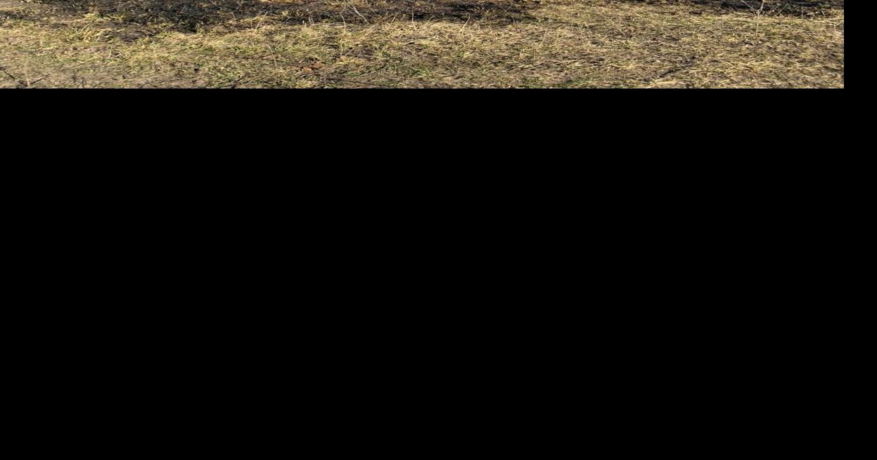 Firefighters in Boone County and Lake area fight wildland, brush fires ...