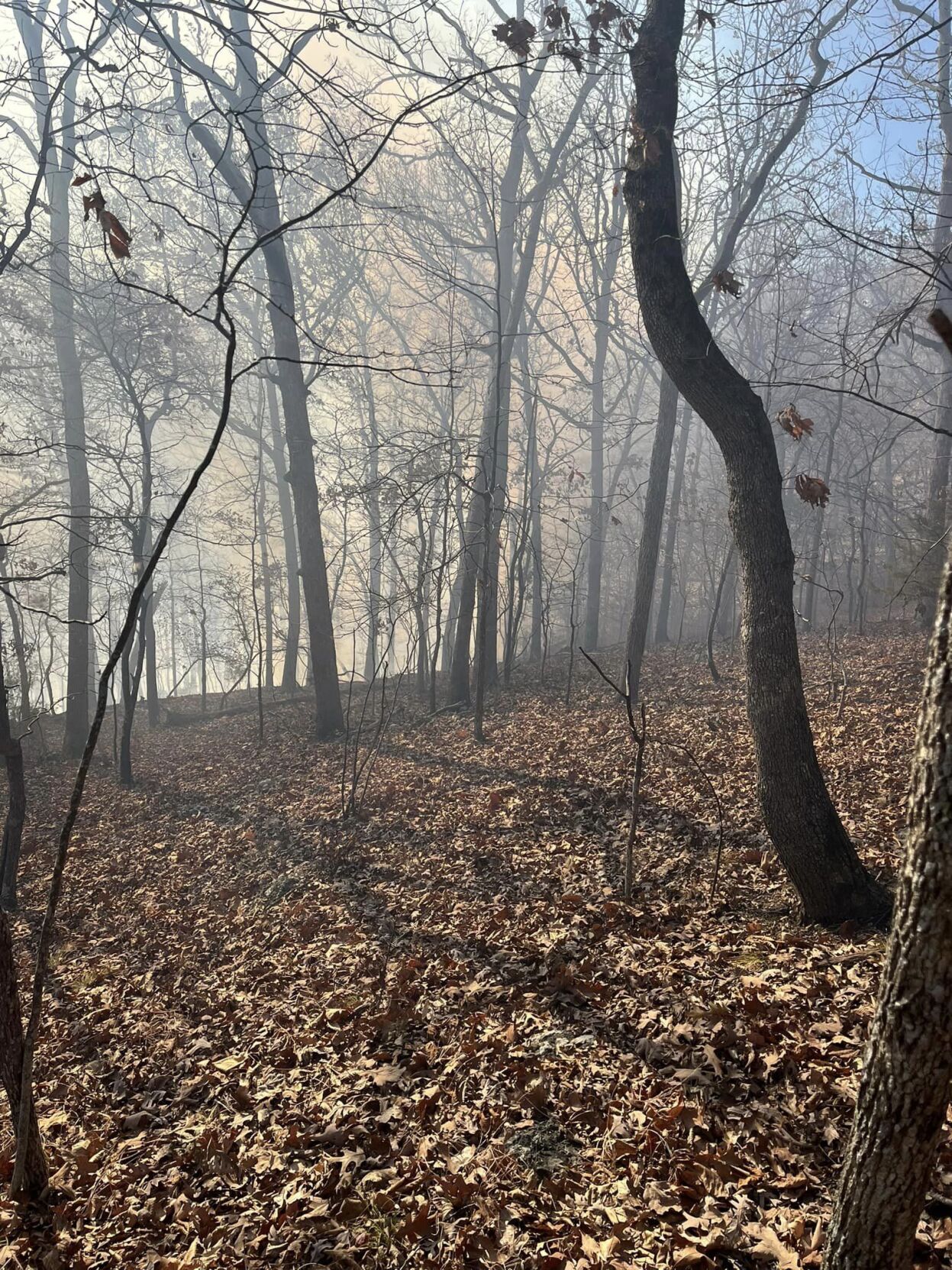 Natural cover fire creates smokey conditions at the Lake of the Ozarks ...