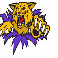 KMAland Boys Basketball (1/17): King City lands Stanberry title, St ...