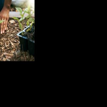 Ag advocates push for more transparency on USDA discrimination payments ...