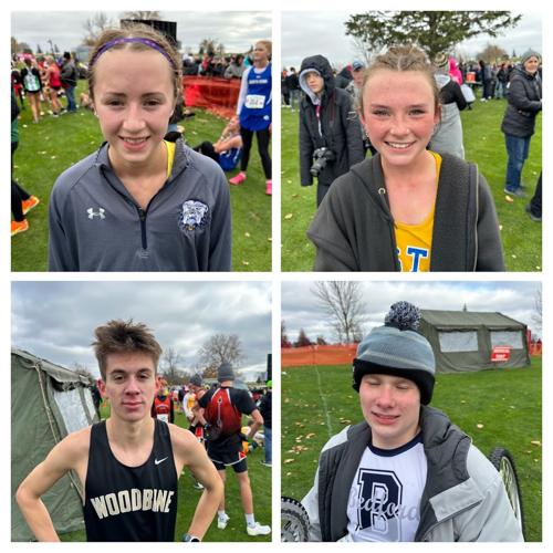 Bedford's Johnson, Woodbine's Bendgen repeat as state XC champs ...