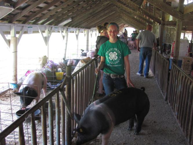 Taylor County Fair 2014-Bedford, Iowa | Gallery | kmaland.com