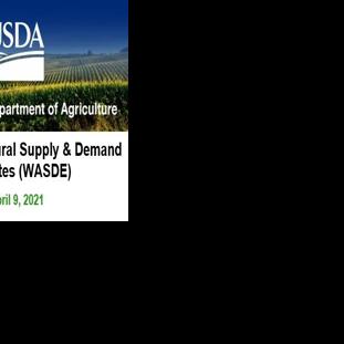 USDA to issue June WASDE Report this week | AG | kmaland.com