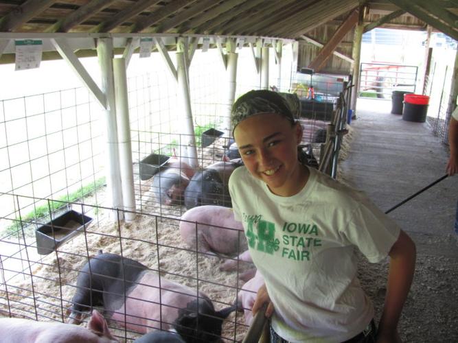 Taylor County Fair 2014-Bedford, Iowa | Gallery | kmaland.com