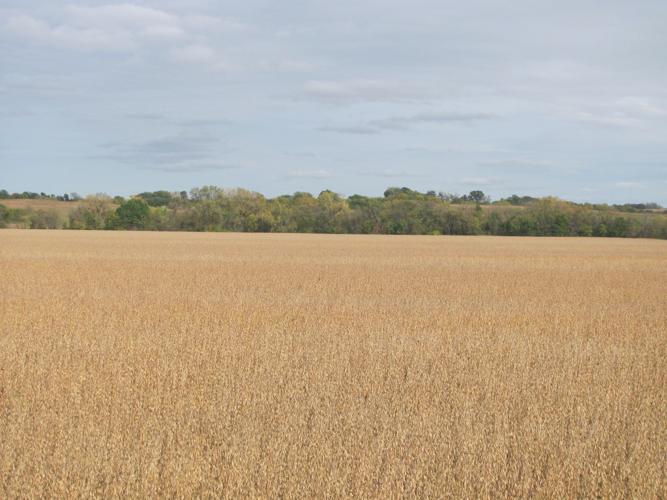 Jay Sunderman of New Market, Iowa | Gallery | kmaland.com