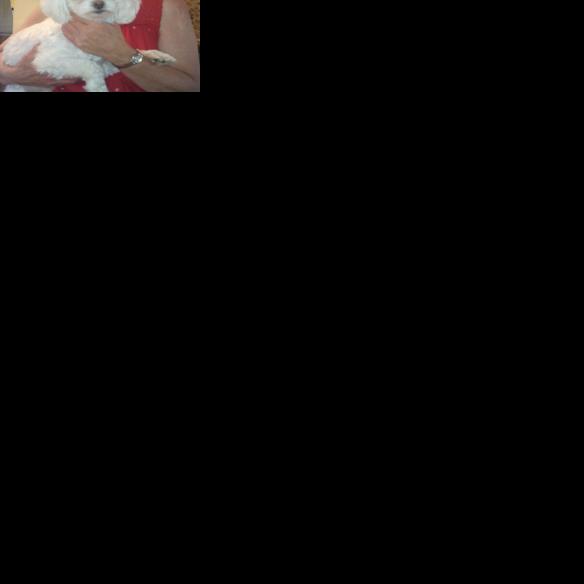 Kristina Huber, 62, of Lenox, iowa | Funerals | kmaland.com