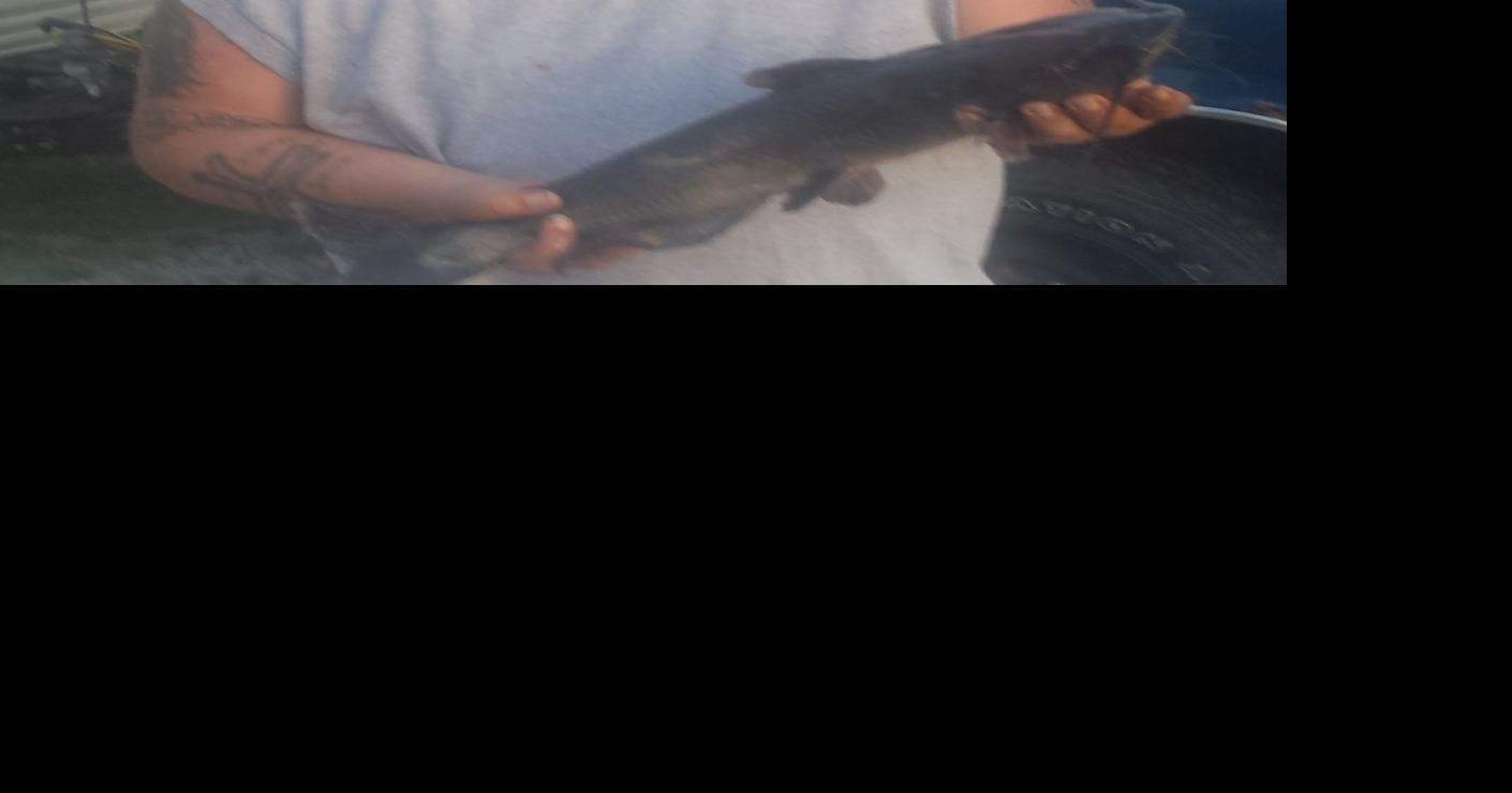 Michael Bloomer, 43, Malvern, IA | Funerals | kmaland.com