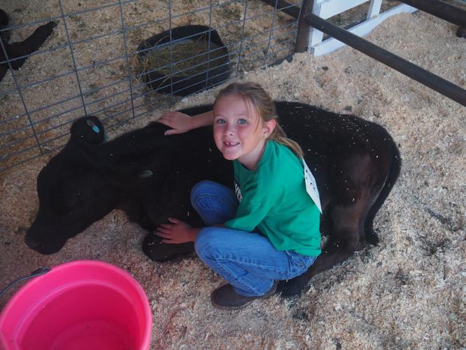 2019 Shelby County Fair-Harlan, Iowa | Gallery | kmaland.com