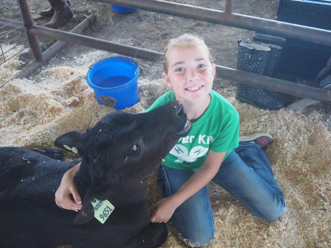 2019 Shelby County Fair-Harlan, Iowa | Gallery | kmaland.com